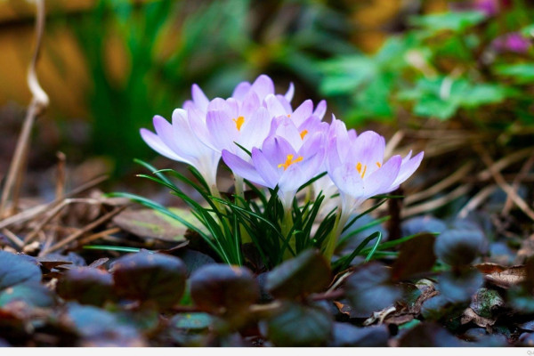 Cute April Wallpapers - Top Free Cute April Backgrounds - WallpaperAccess