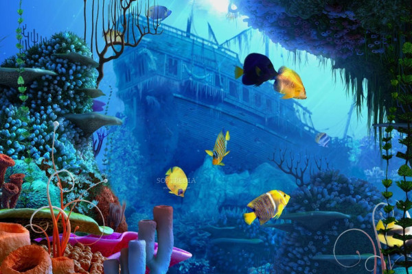 Cute Coral Wallpapers - Top Free Cute Coral Backgrounds - WallpaperAccess