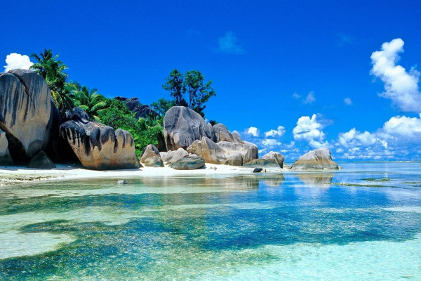 HD Tropical Wallpapers - Top Free HD Tropical Backgrounds - WallpaperAccess