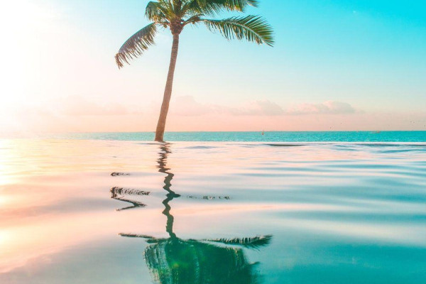 Tropical Rain Wallpapers - Top Free Tropical Rain Backgrounds ...