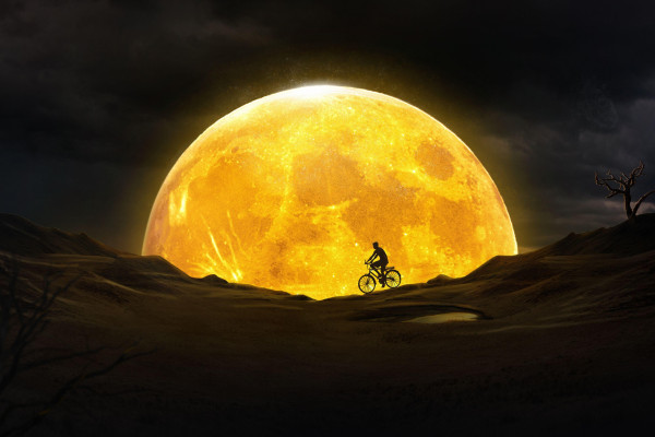 Neon Moon Wallpapers - Top Free Neon Moon Backgrounds - WallpaperAccess