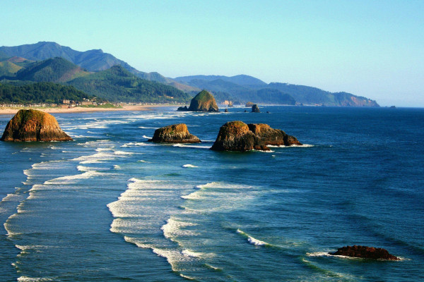 Oregon Forest Wallpapers - Top Free Oregon Forest Backgrounds ...