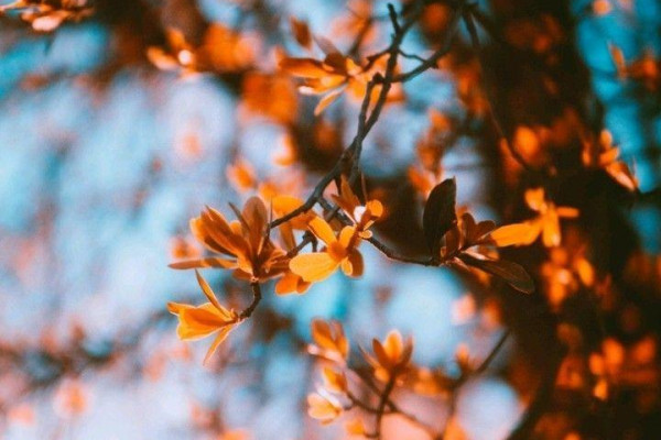 Tumblr Photography Desktop Wallpapers - Top Free Tumblr Photography ...