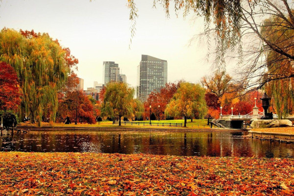 Boston 4K Wallpapers - Top Free Boston 4K Backgrounds - WallpaperAccess