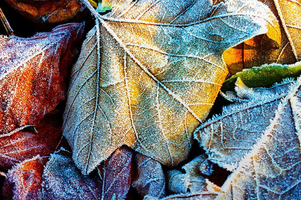 Windows Phone Wallpapers - Top Free Windows Phone Backgrounds ...