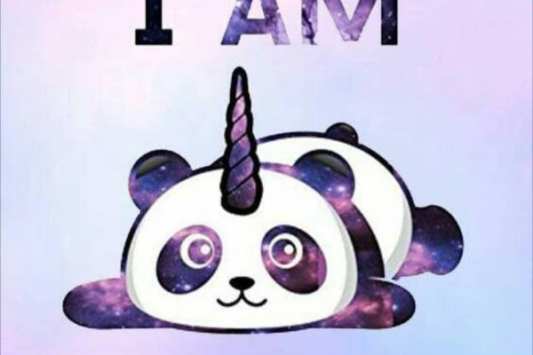 Panda Galaxy Wallpapers - Top Free Panda Galaxy Backgrounds ...