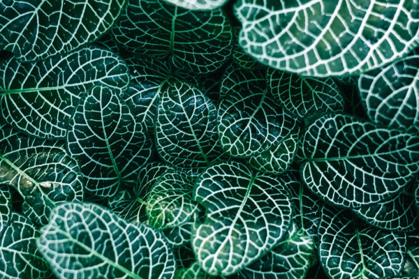 Japanese Texture Wallpapers - Top Free Japanese Texture Backgrounds ...