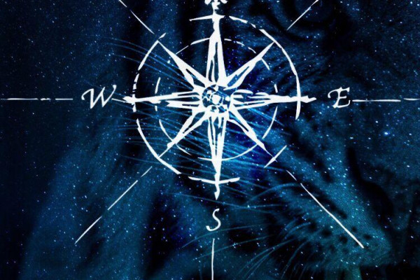Compass iPhone Wallpapers - Top Free Compass iPhone Backgrounds ...