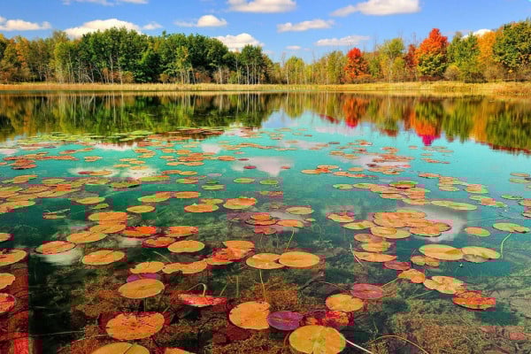 Amazing Nature 4K Wallpapers - Top Free Amazing Nature 4K Backgrounds ...