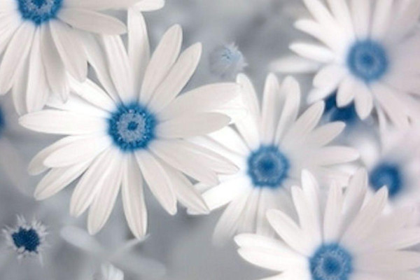Blue and White Desktop Wallpapers - Top Free Blue and White Desktop ...
