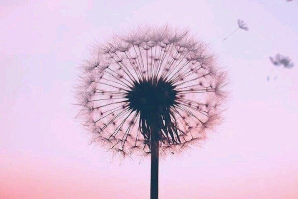 Interactive Wallpapers - Top Free Interactive Backgrounds - WallpaperAccess