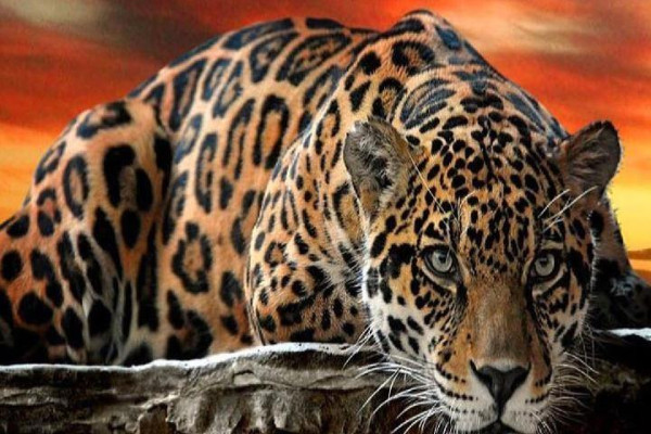 6D Wallpapers - Top Free 6D Backgrounds - WallpaperAccess