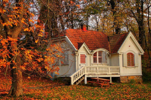 Michigan Autumn Wallpapers - Top Free Michigan Autumn Backgrounds ...