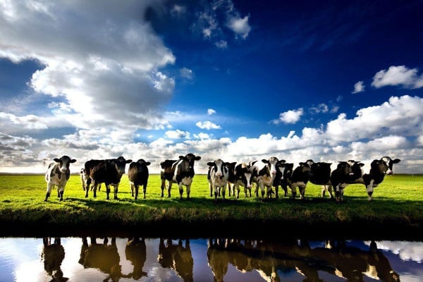 Old Farm Wallpapers - Top Free Old Farm Backgrounds - WallpaperAccess