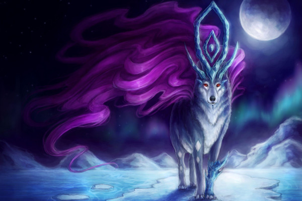 Colorful Wolf Wallpapers - Top Free Colorful Wolf Backgrounds ...