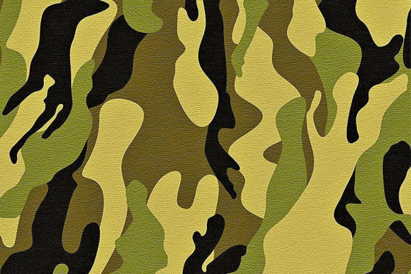 Army Wallpapers - Top Free Army Backgrounds - WallpaperAccess
