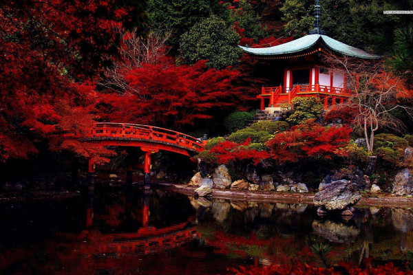 Japan Train Wallpapers - Top Free Japan Train Backgrounds - WallpaperAccess