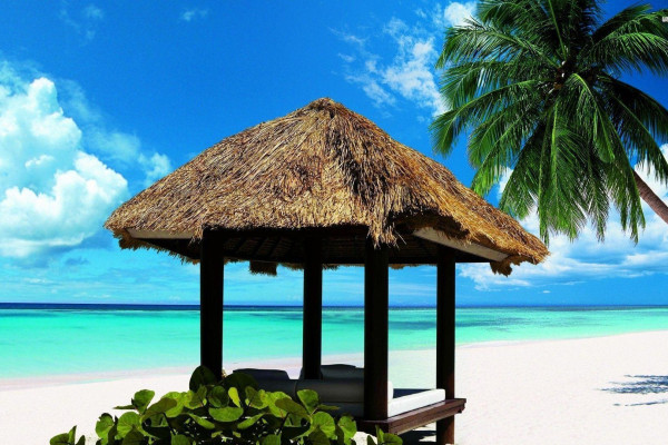 Tiki Wallpapers - Top Free Tiki Backgrounds - WallpaperAccess