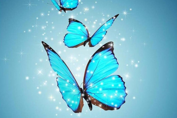 Animated Butterfly Wallpapers - Top Free Animated Butterfly Backgrounds ...
