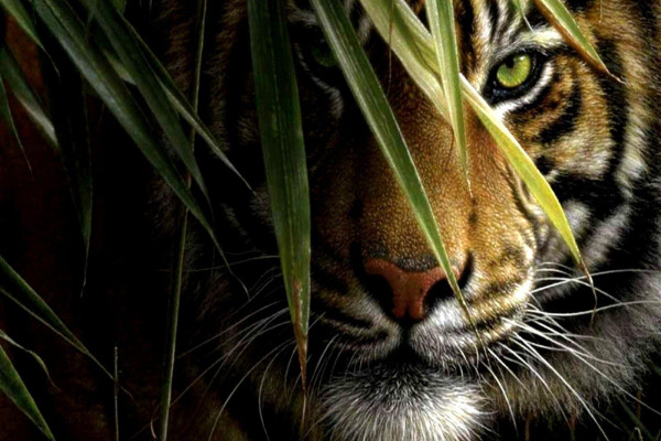 March Nature Wallpapers - Top Free March Nature Backgrounds ...