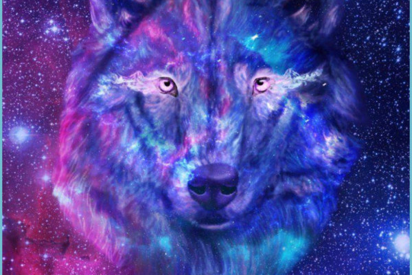 Cool Neon Wolf Wallpapers - Top Free Cool Neon Wolf Backgrounds ...
