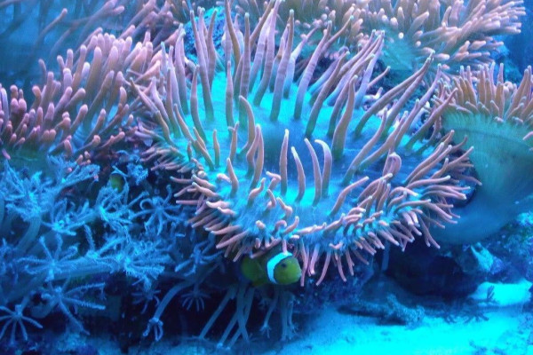 Cute Welcome Wallpapers - Top Free Cute Welcome Backgrounds ...