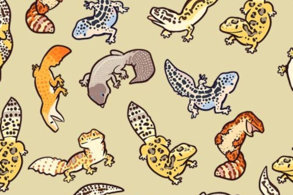 Lizard Wallpapers - Top Free Lizard Backgrounds - WallpaperAccess