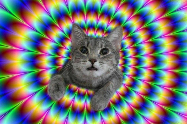 LSD Cartoon Wallpapers - Top Free LSD Cartoon Backgrounds - WallpaperAccess