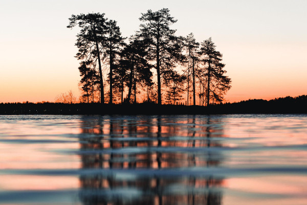 Popular Phone Wallpapers - Top Free Popular Phone Backgrounds ...