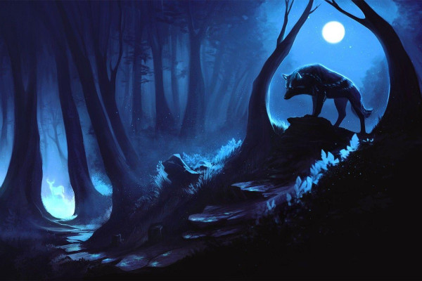 Night Wolf Wallpapers - Top Free Night Wolf Backgrounds - WallpaperAccess