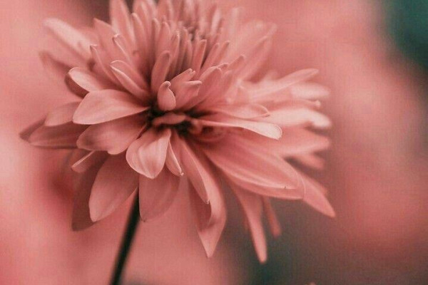 Calming Nature Wallpapers - Top Free Calming Nature Backgrounds ...