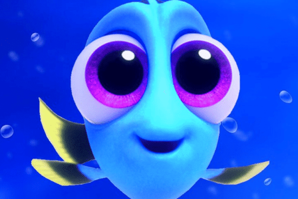 Cute Fish Wallpapers - Top Free Cute Fish Backgrounds - WallpaperAccess