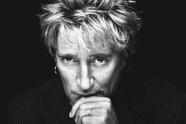 Save The Turtles Wallpapers - Top Free Save The Turtles Backgrounds ...