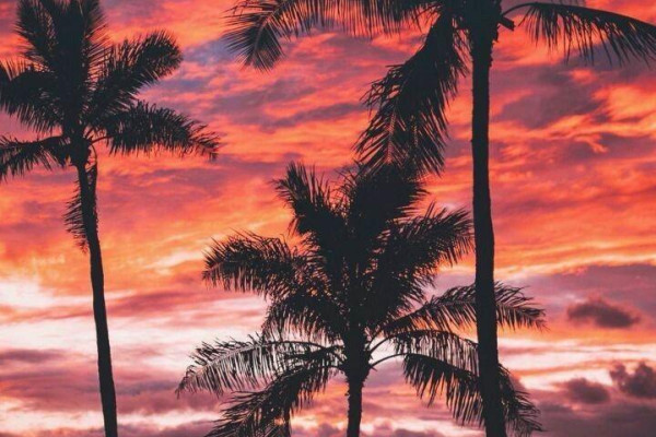 Windows Sunset Wallpapers - Top Free Windows Sunset Backgrounds ...