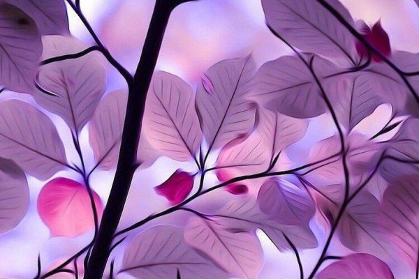 Red Leaves Wallpapers - Top Free Red Leaves Backgrounds - WallpaperAccess