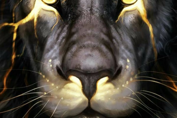 Fire Lion Wallpapers - Top Free Fire Lion Backgrounds - WallpaperAccess