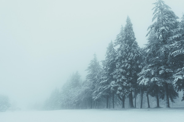 Mountain Fog Wallpapers - Top Free Mountain Fog Backgrounds ...