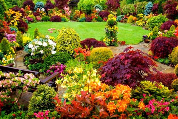 Colorful Winter Wallpapers - Top Free Colorful Winter Backgrounds ...