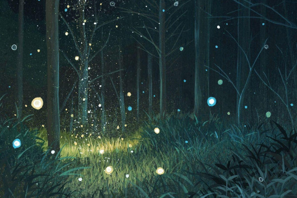 Night Time Wallpapers - Top Free Night Time Backgrounds - WallpaperAccess