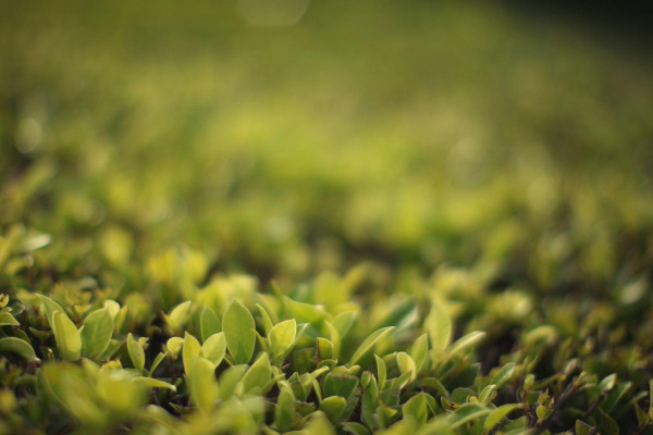 BuzzFeed Desktop Wallpapers - Top Free BuzzFeed Desktop Backgrounds ...