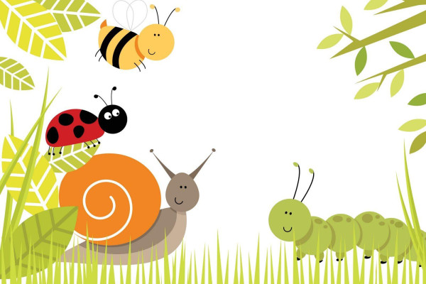 Bug Wallpapers - Top Free Bug Backgrounds - WallpaperAccess