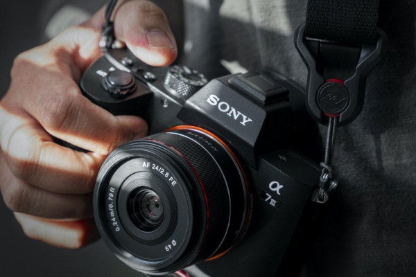 Alpha Dragon Wallpapers - Top Free Alpha Dragon Backgrounds ...