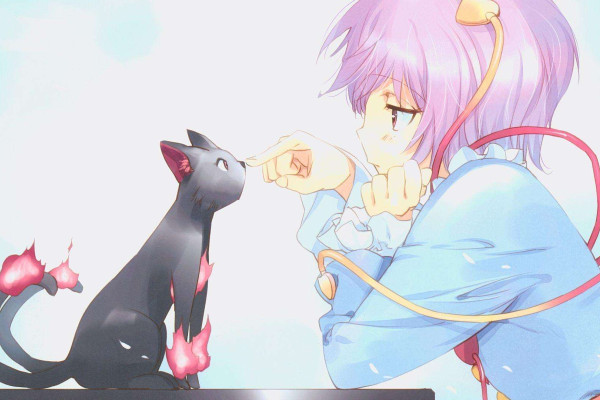 Cat Boy Anime Wallpapers - Top Free Cat Boy Anime Backgrounds ...