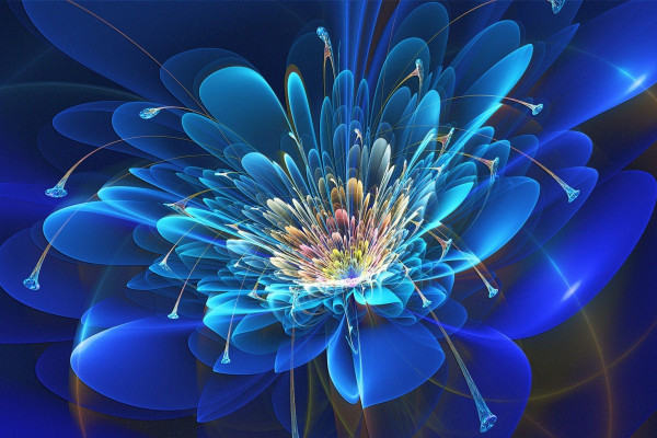 Translucent Wallpapers - Top Free Translucent Backgrounds - WallpaperAccess