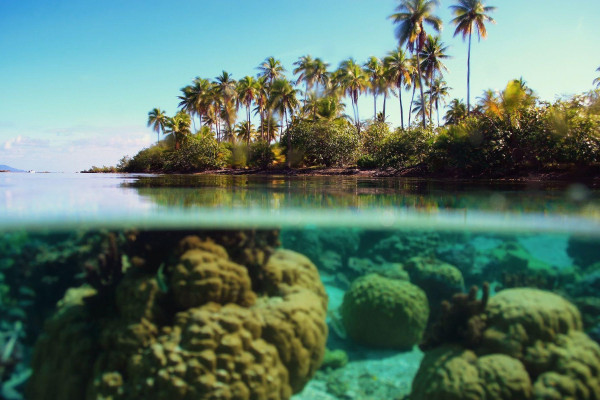 Underwater 4K Wallpapers - Top Free Underwater 4K Backgrounds ...