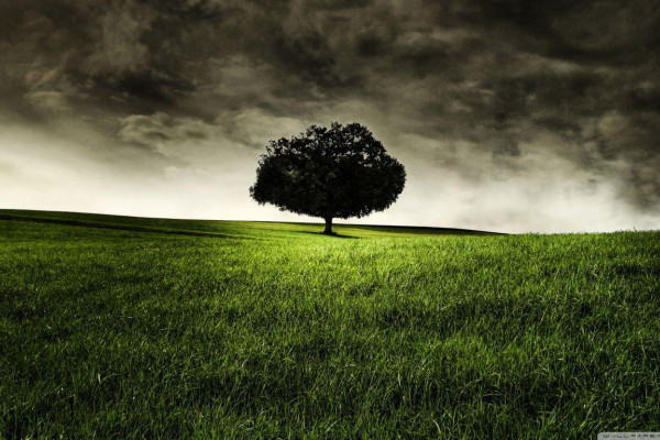 R Wallpapers - Top Free R Backgrounds - WallpaperAccess