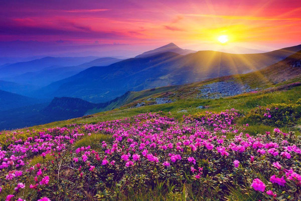 The Valley Wallpapers - Top Free The Valley Backgrounds - WallpaperAccess