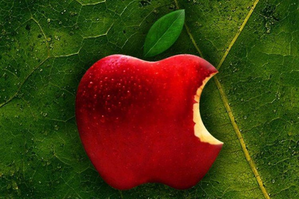 Red Apple iPhone Wallpapers - Top Free Red Apple iPhone Backgrounds ...