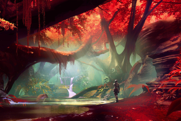 Fanatic Wallpapers - Top Free Fanatic Backgrounds - WallpaperAccess