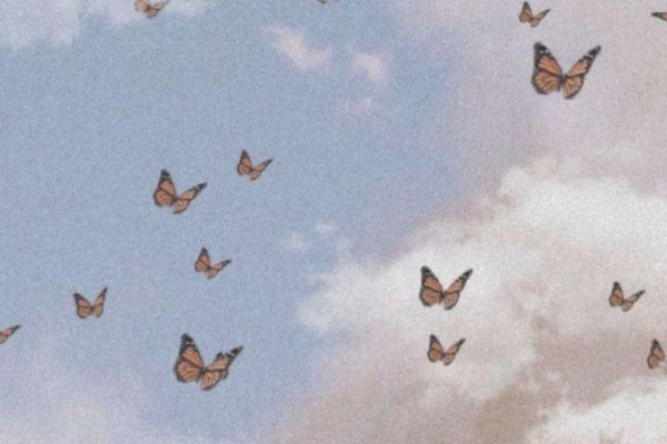 Aesthetic Cloud PC Wallpapers - Top Free Aesthetic Cloud PC Backgrounds ...